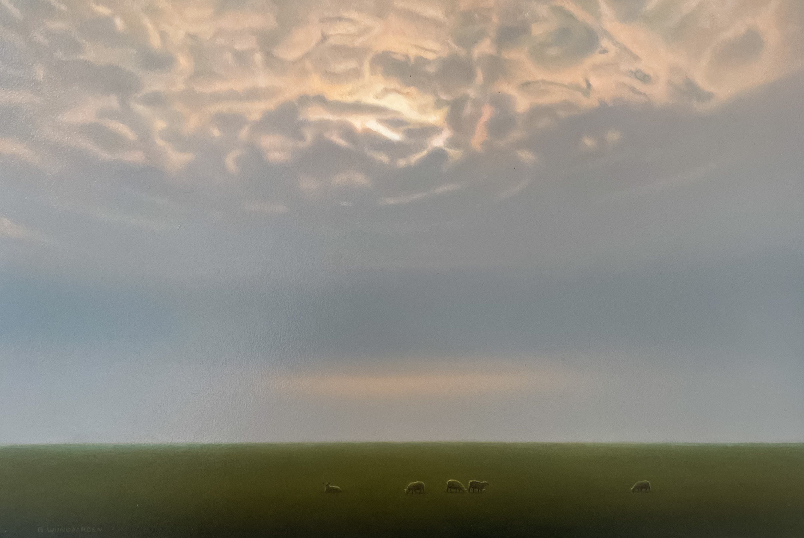 Vijf schapen - Gerrit Wijngaarden Bax Kunst